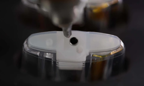 ACTIVE Leaf All-In-One Disposable Cannabis Vape | Wholesale Vapes